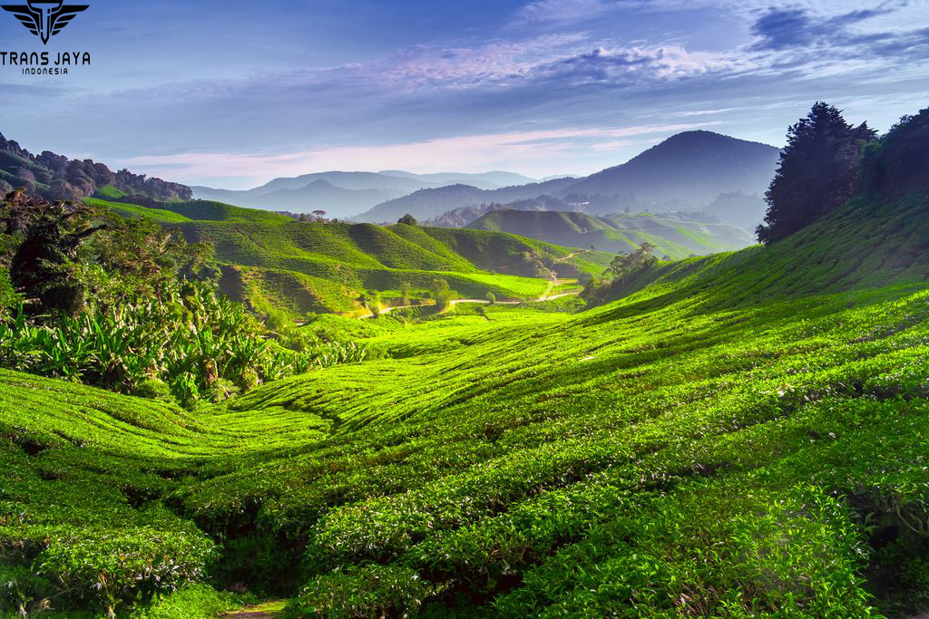 Rekomendasi 5 Tempat Wisata di Malaysia - Trans Jaya Indonesia